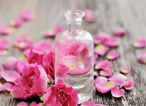 قیمت و خرید عمده گلاب | خرید گلاب + قیمت روز - هایار طب